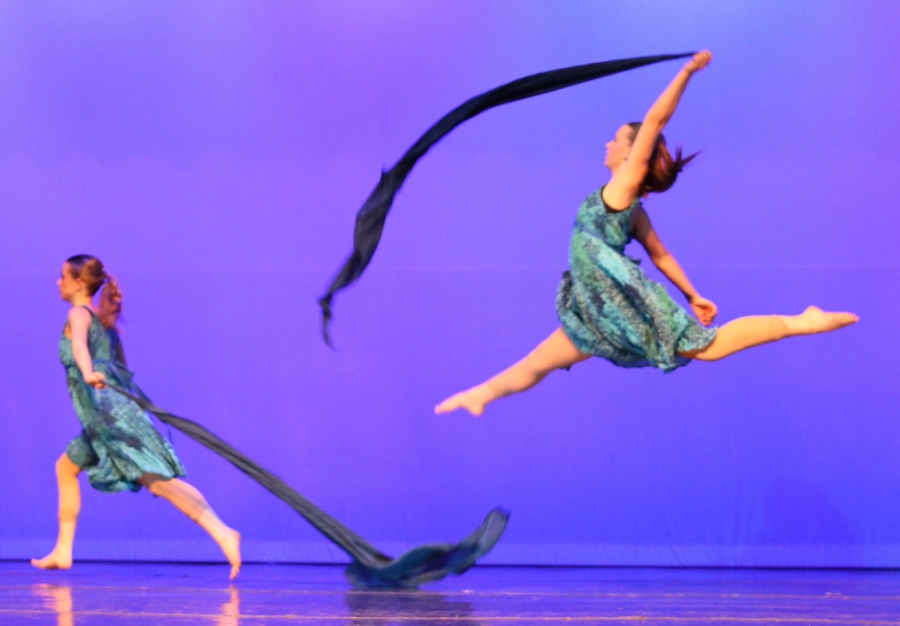 Fergus Falls School of Dance - What Level Should I Be In?